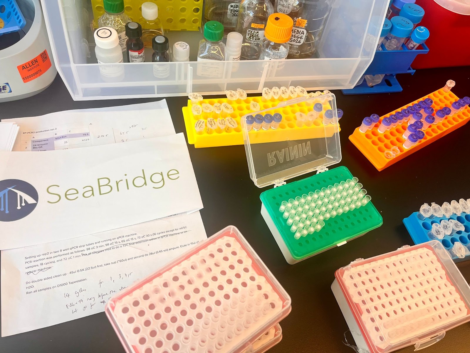 SeaBridge - SeaBridge